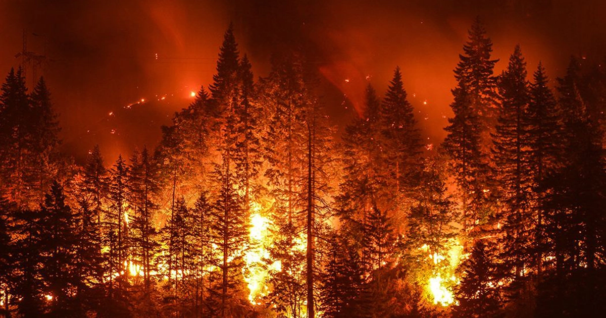 Basic Facts About Wildfires | Land For Sale