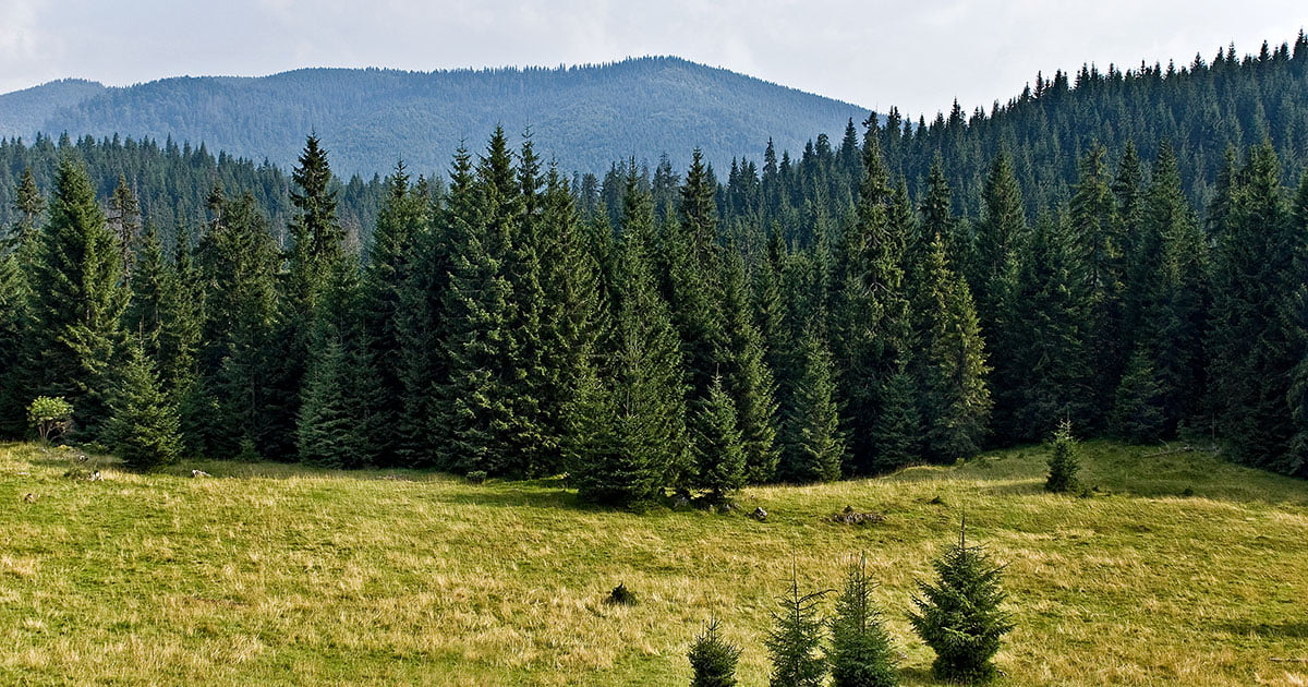 The Benefits Of Investing In Land | Rural Properties | US