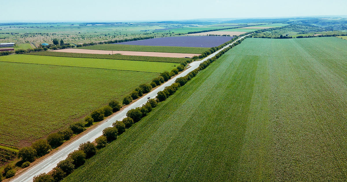 Cost Of Land In The 2021 Real Estate Market | Land For Sale