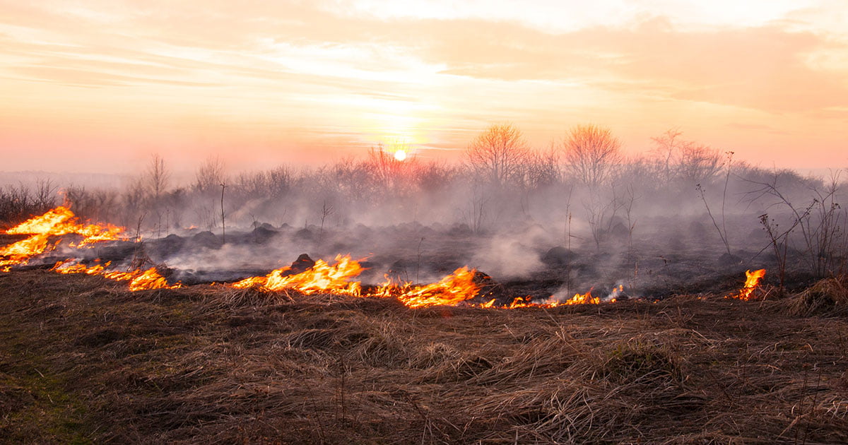 Protect Your Land From Wildfires | Land For Sale