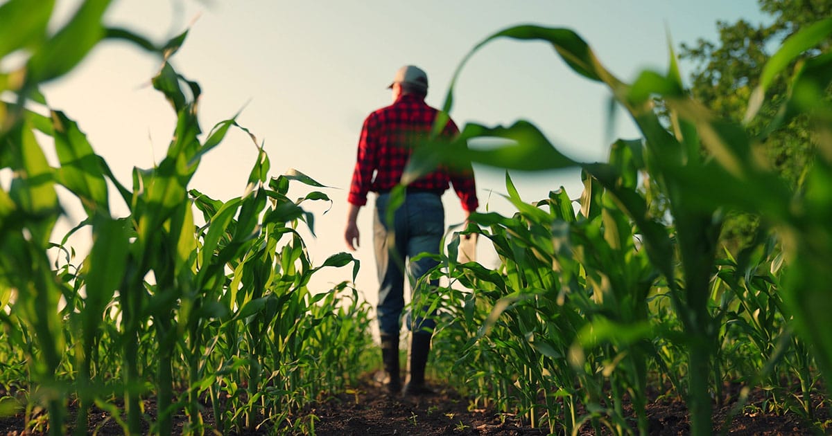Where To Apply For A Farm Loan | Land For Sale