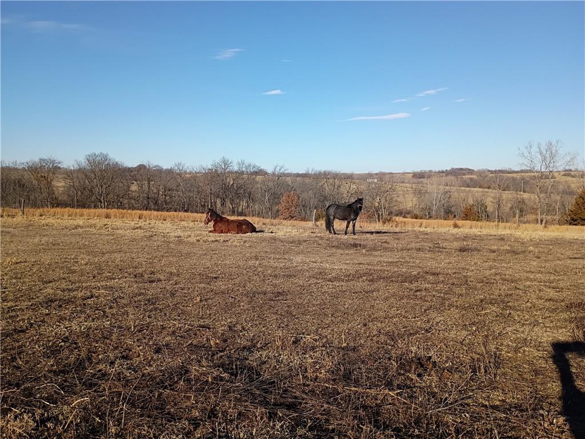 25.5+/- North Of Stanberry With Pond, Shop & Scenic Build Sites